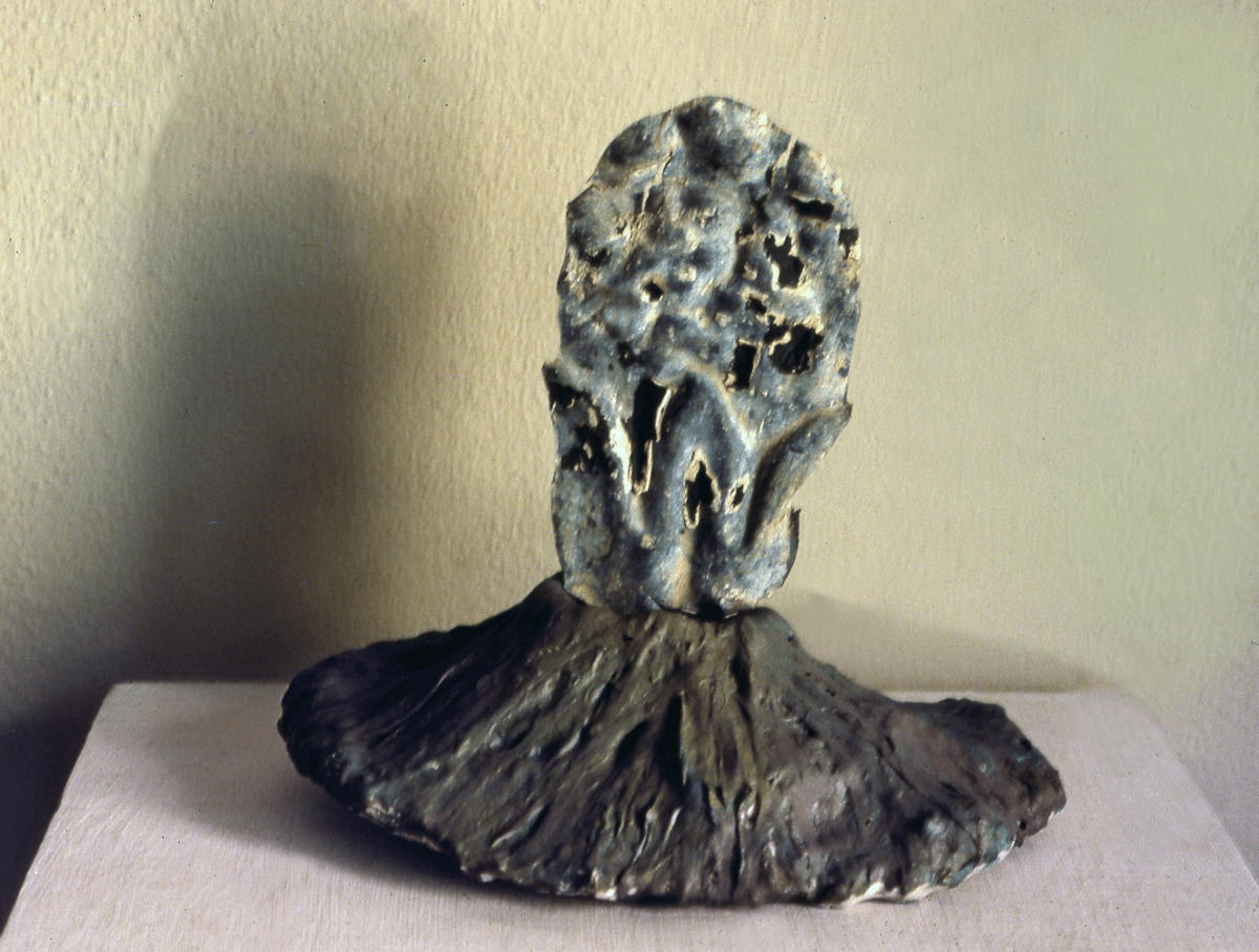 .0211 Mt. St. Helen 7/1980 – Betsy Packard Art Archive